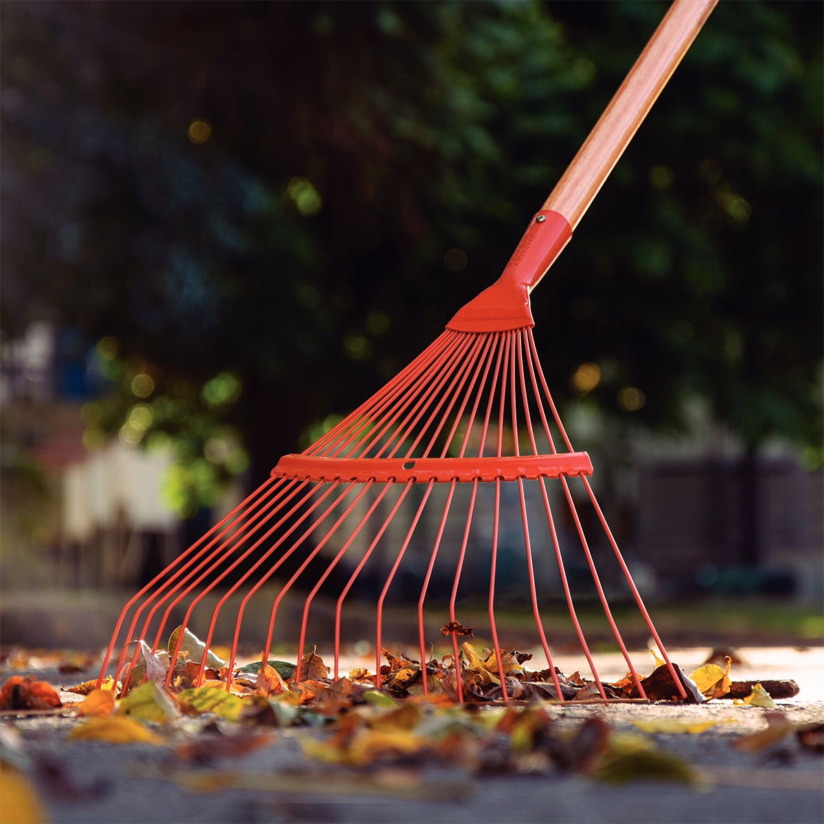 Vassoura Metálica Fixa Tramontina com 18 Dentes Modelo Arame e Cabo de ...